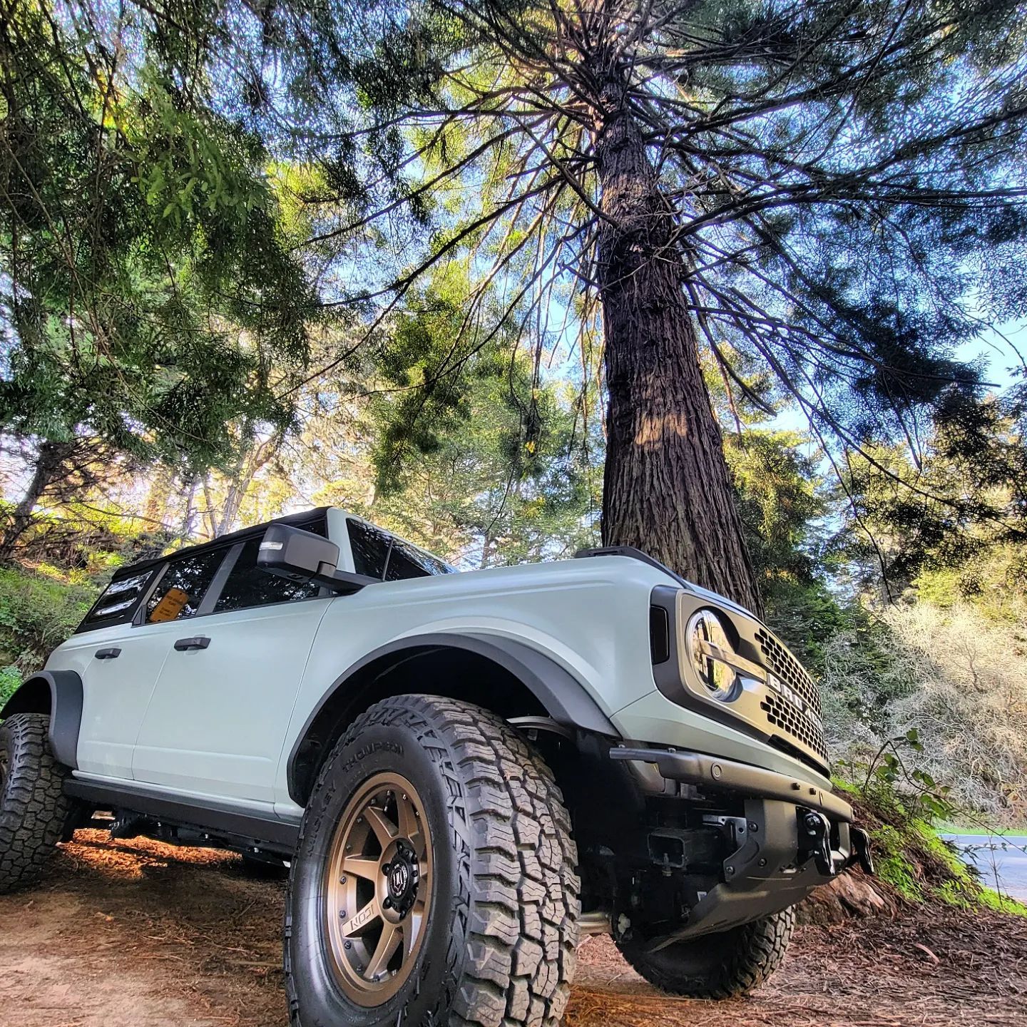 Mickey Thompson | Ford