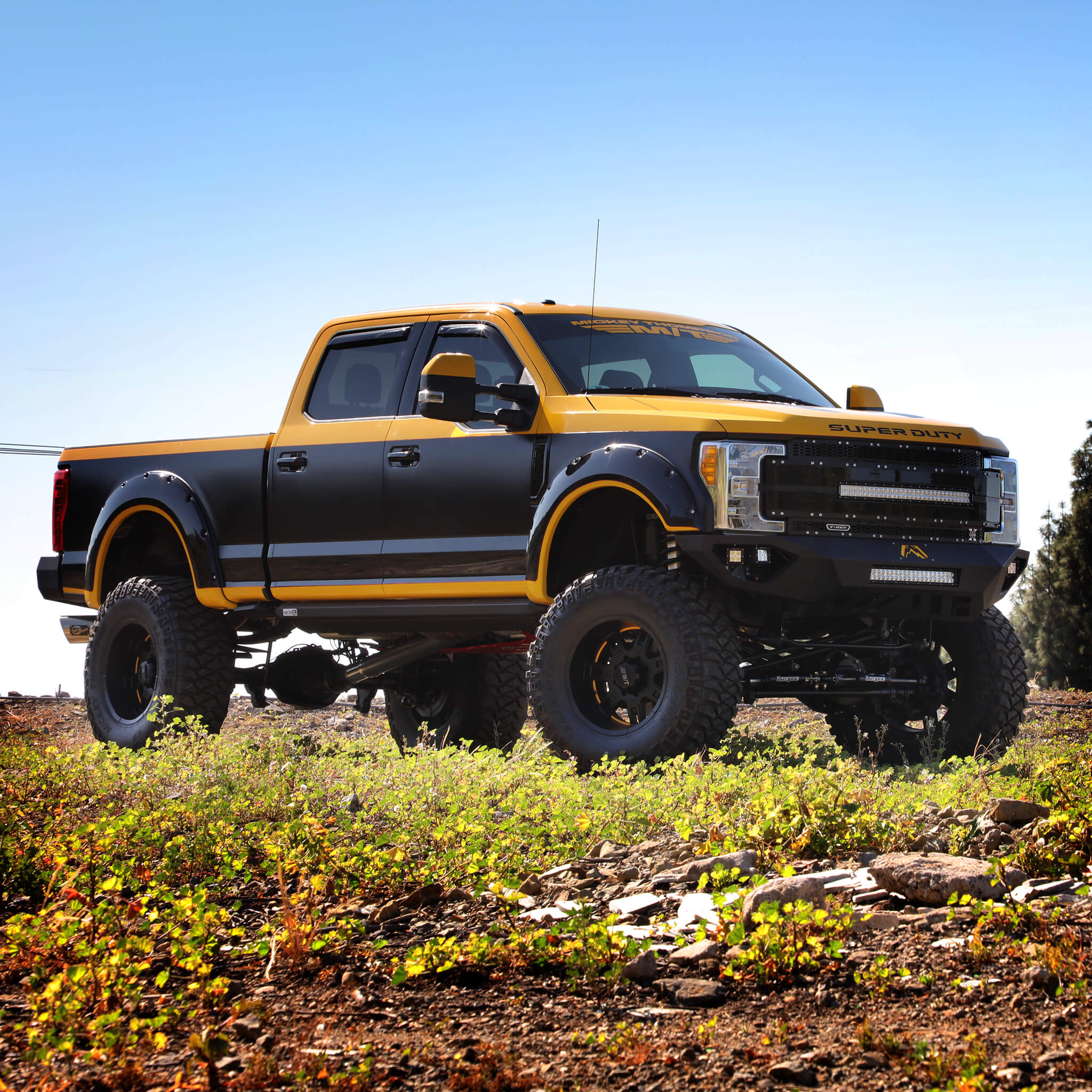 Mickey Thompson | Ford